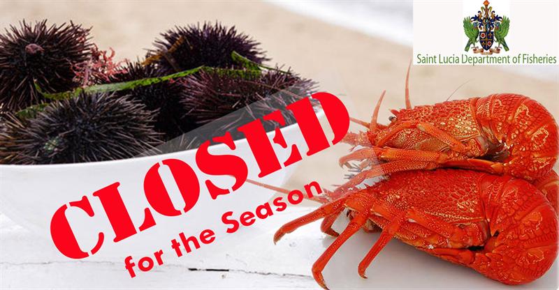 Web Portal of the Government of Saint Lucia