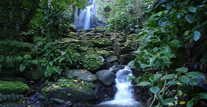 Web Portal of the Government of Saint Lucia