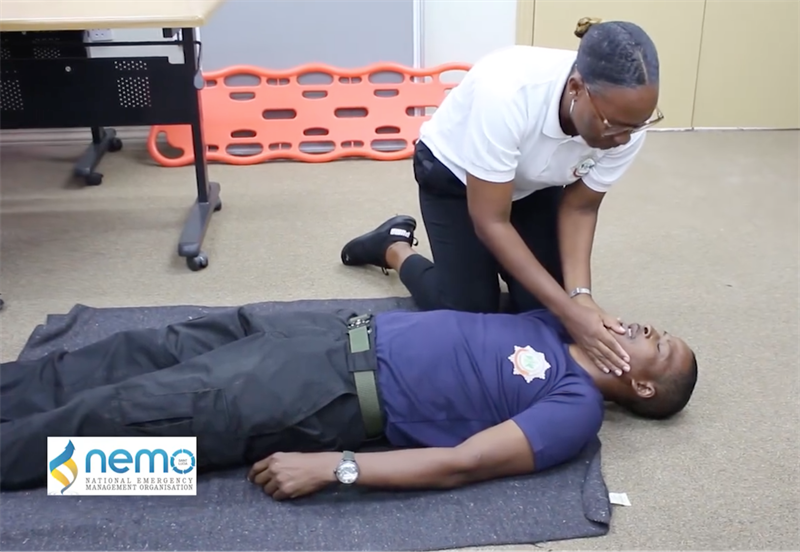 Web Portal of the Government of Saint Lucia