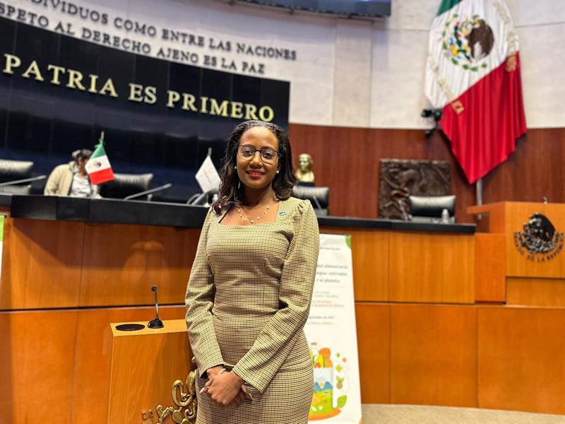 Web Portal of the Government of Saint Lucia